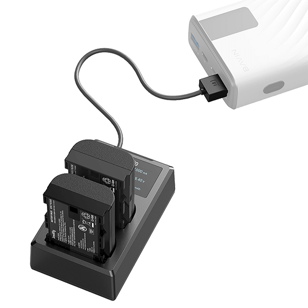 LP-E6NH Kamera Akku und Ladegerät Set